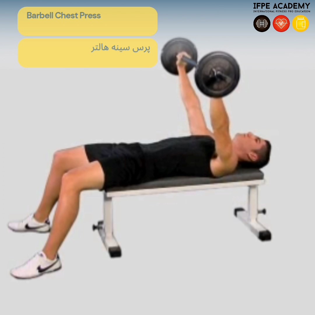 Chest Muscle Group Ifpe Academy