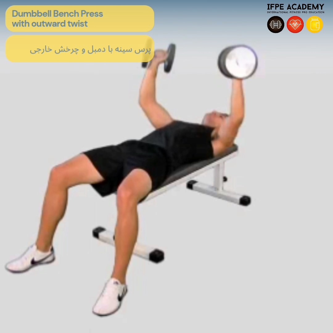 Chest Muscle Group - IFPE Academy