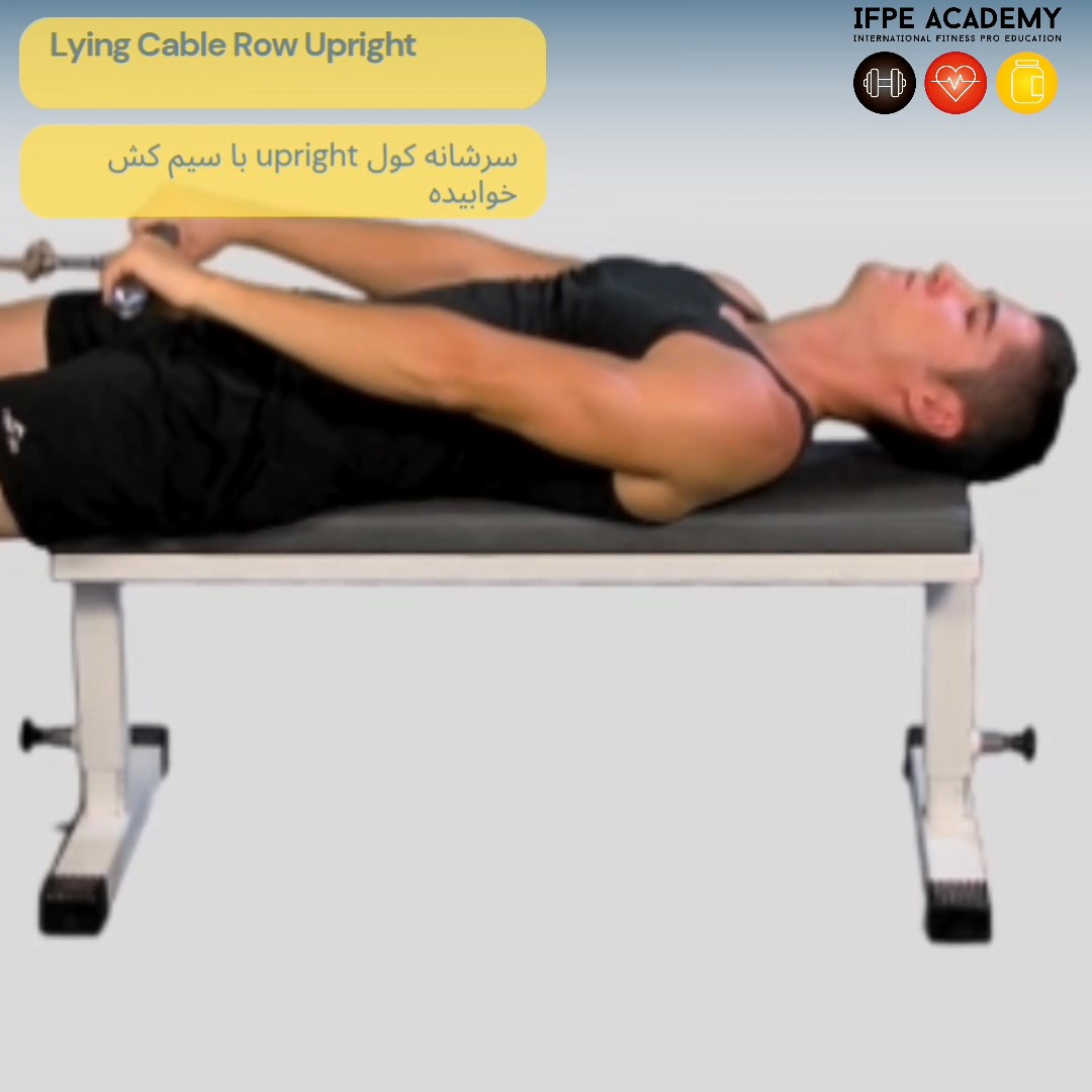 Trapezius Muscle Group - IFPE Academy